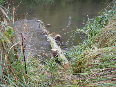 River Nadder - Casterbridge Fisheries Ltd