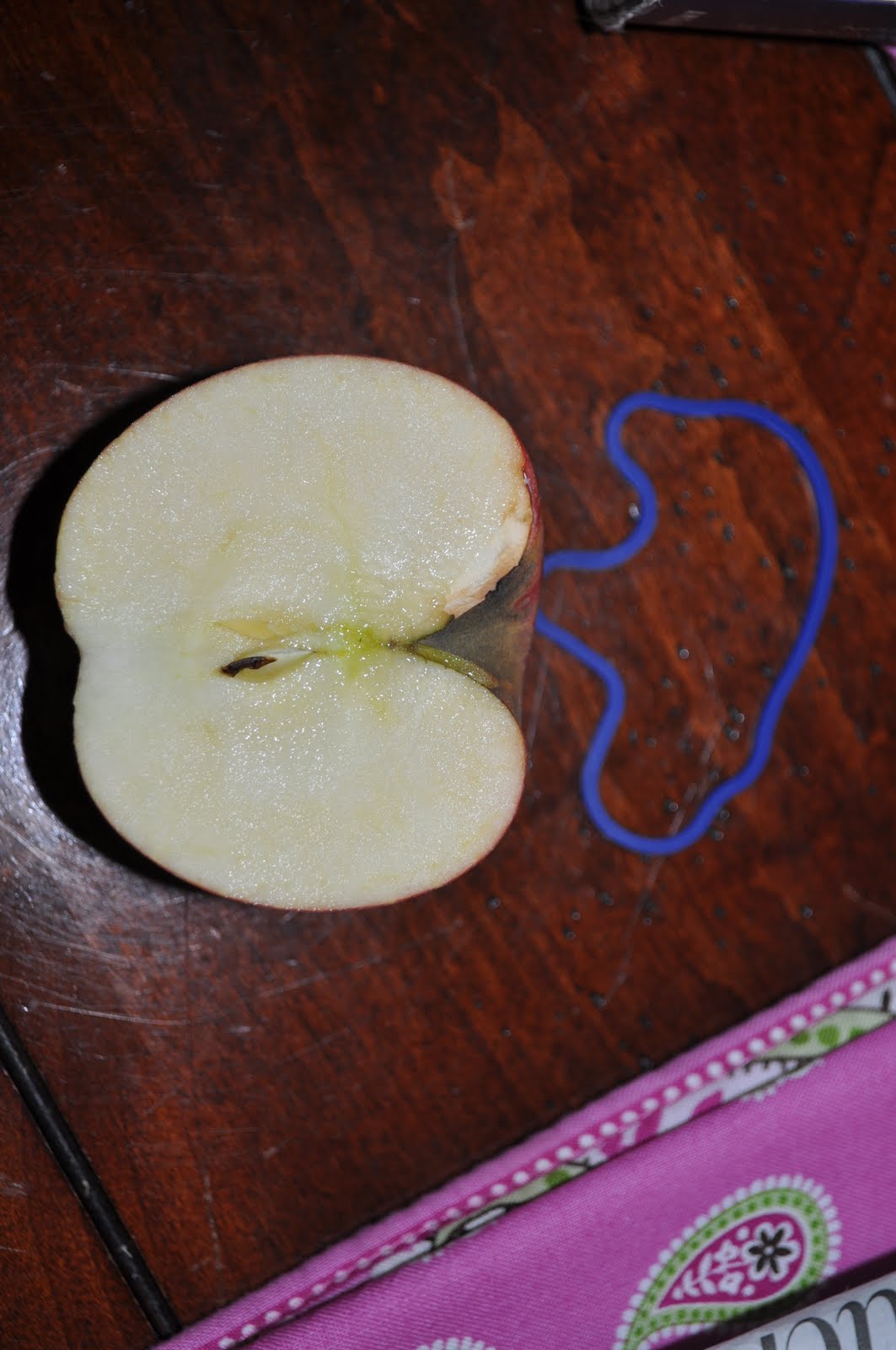 Mary Gray's AP Bio Summer Work