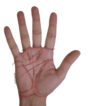NUGROHO: PALMISTRY GARIS TANGAN