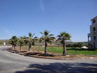 COSMO URBAN: Turmusaya