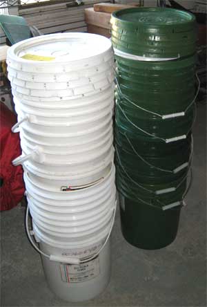 Daphne's Dandelions: The Joy of Pails