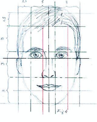 Cuaderno del Profe: Las proporciones en el rostro