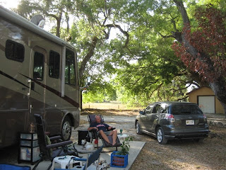 Travel With Whippets: Sumter Oaks RV Park + Disney World Ft. Wilderness