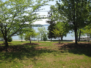 Travel With Whippets: Chester Frost Park/Chattanooga, TN + Cousins