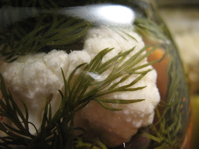 Cave Cibum: Tourshi, or How It's So Easy to Always Have Salty, Crunchy ...