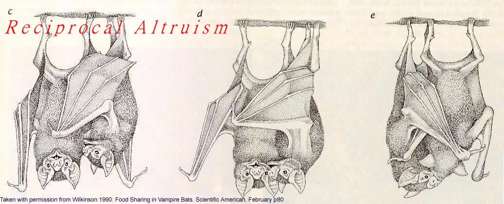 BIOL 1404 (McG's Part) 2010: Reciprocal Altruism and Evolutionary ...