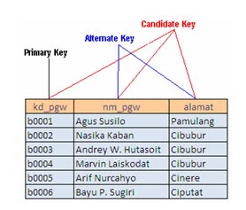 Sistem Basis Data: Sedikit Mengenai Key dan Atribut Deskriptif