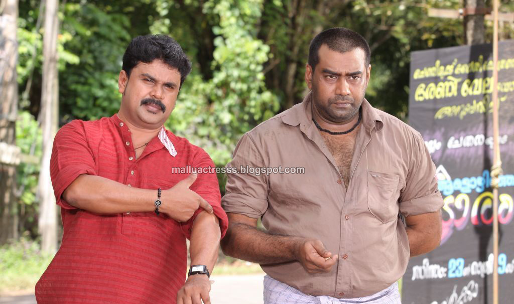 Malayalam actress: Marykkundoru Kunjadu movie sills