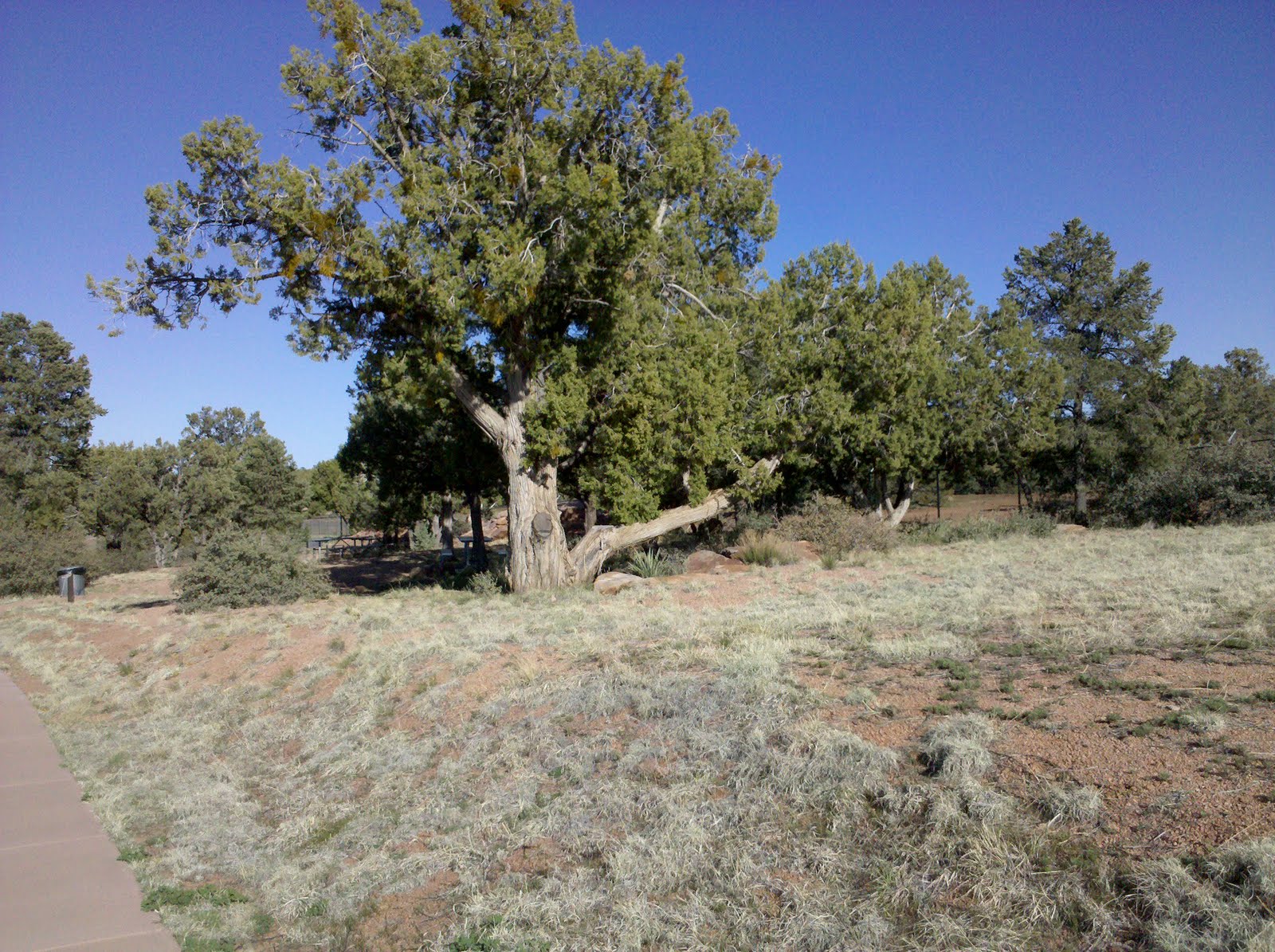 Mooney Adventures: Camping in Payson,AZ