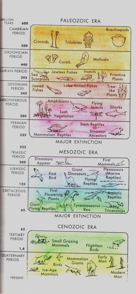 Symbion pandora: Ufufufu-- atarashi hon wa sugoi deshou
