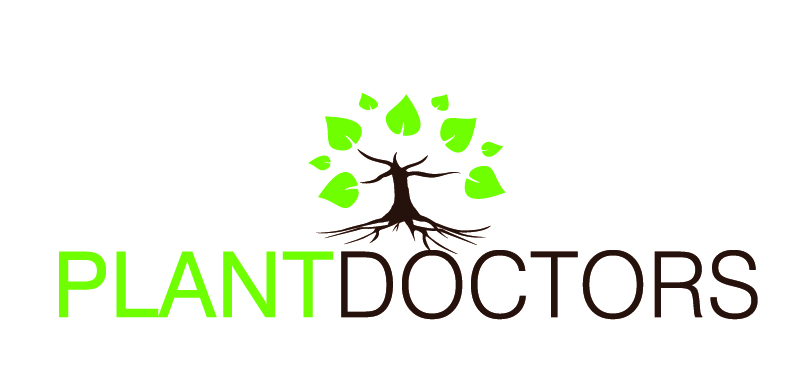 PlantDoctors: Parceria entre a PlantDoctors e o Jardim Botânico Tropical