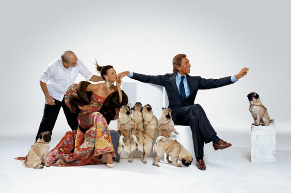 Ŧhe ₵oincidental Ðandy: It's All Goude: The Photographic Wit & Whimsy ...