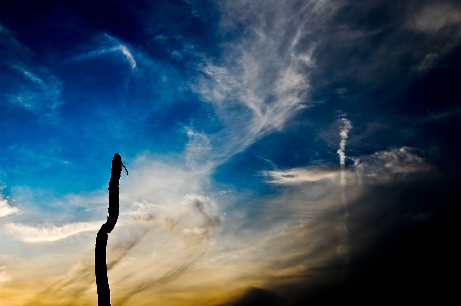 The Modern Gabriela Silang: Ang Liwanag na Nababalot ng Kadiliman