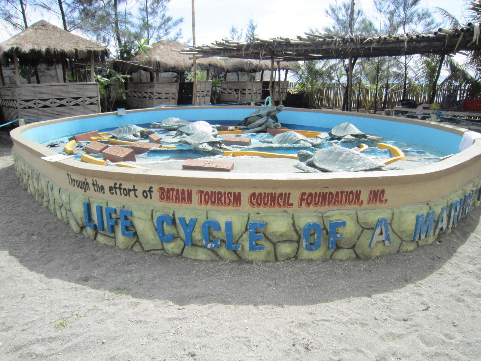 About Anything and Everything: Bataan: Pawikan Conservation Center!