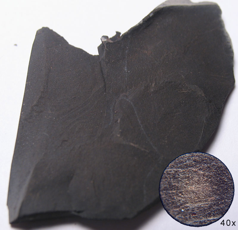 Louisville Fossils and Beyond: Gas Exploration in New Albany Shale