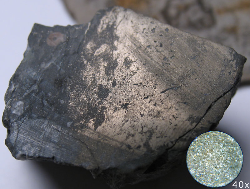 Louisville Fossils and Beyond: Gas Exploration in New Albany Shale