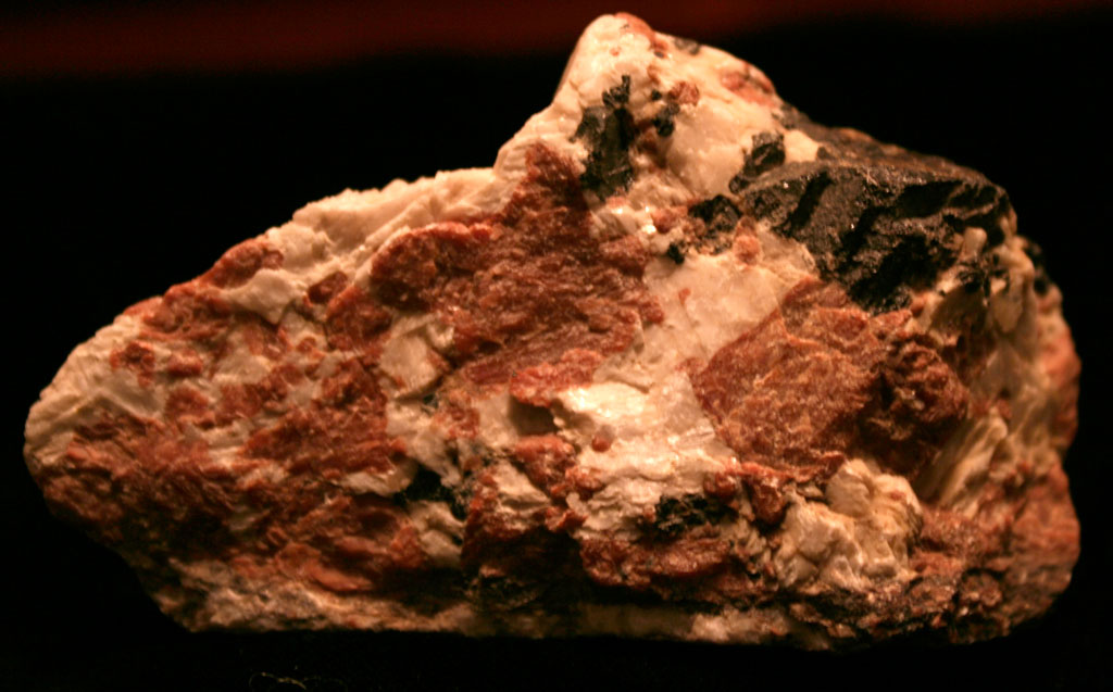 Louisville Fossils and Beyond: Gerard Troost - Early American Geologist