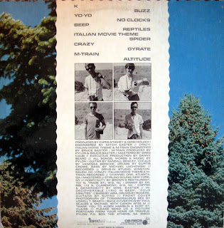 VINYL GOLDMINE - Lost New Wave & Power Pop Gems: PYLON - Chomp