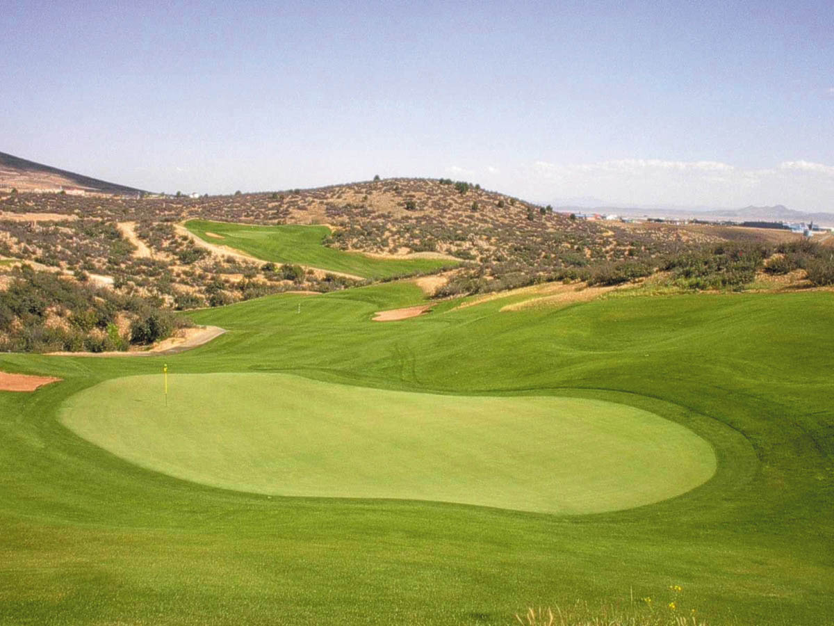 Mikey 3dVisit Essex: Golf Green