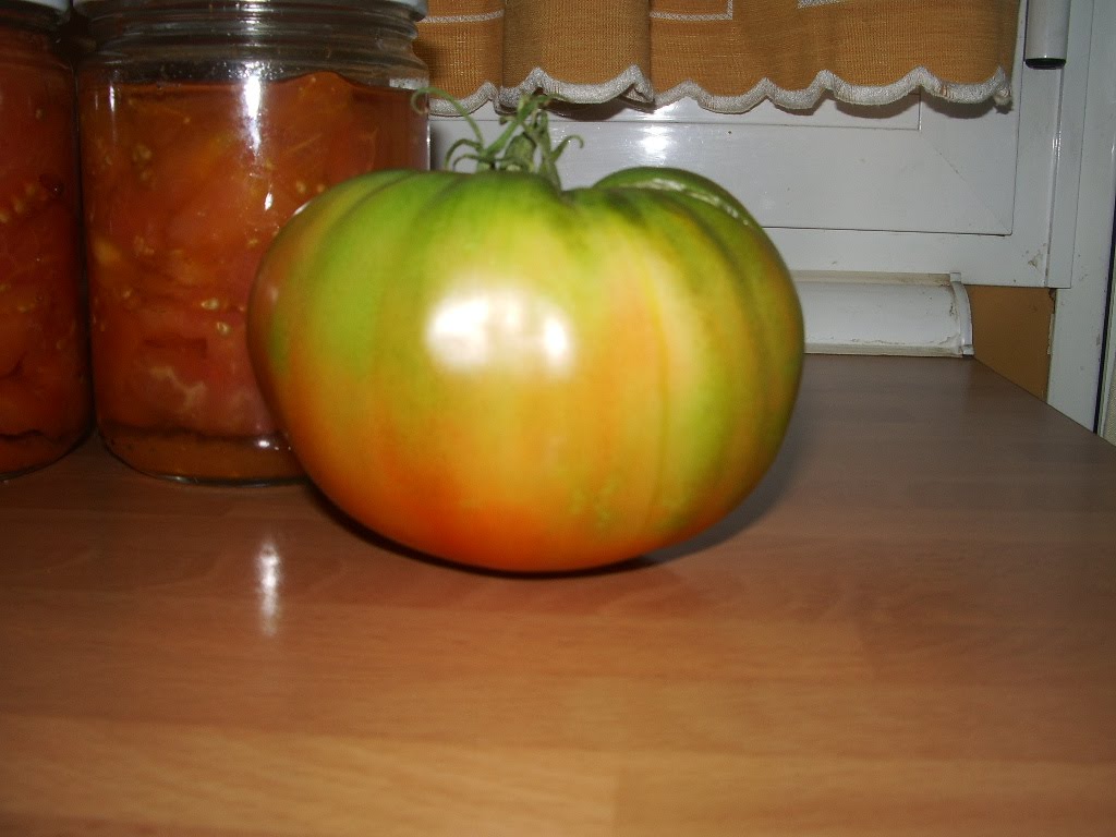 AL RICO TOMATE.....