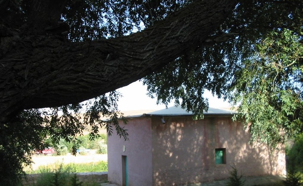 Musa Şeyh Türbesi / BÜNYAN