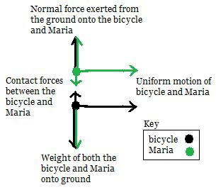 Newton's Three Laws of Motion: Maria's adventure on her bicycle