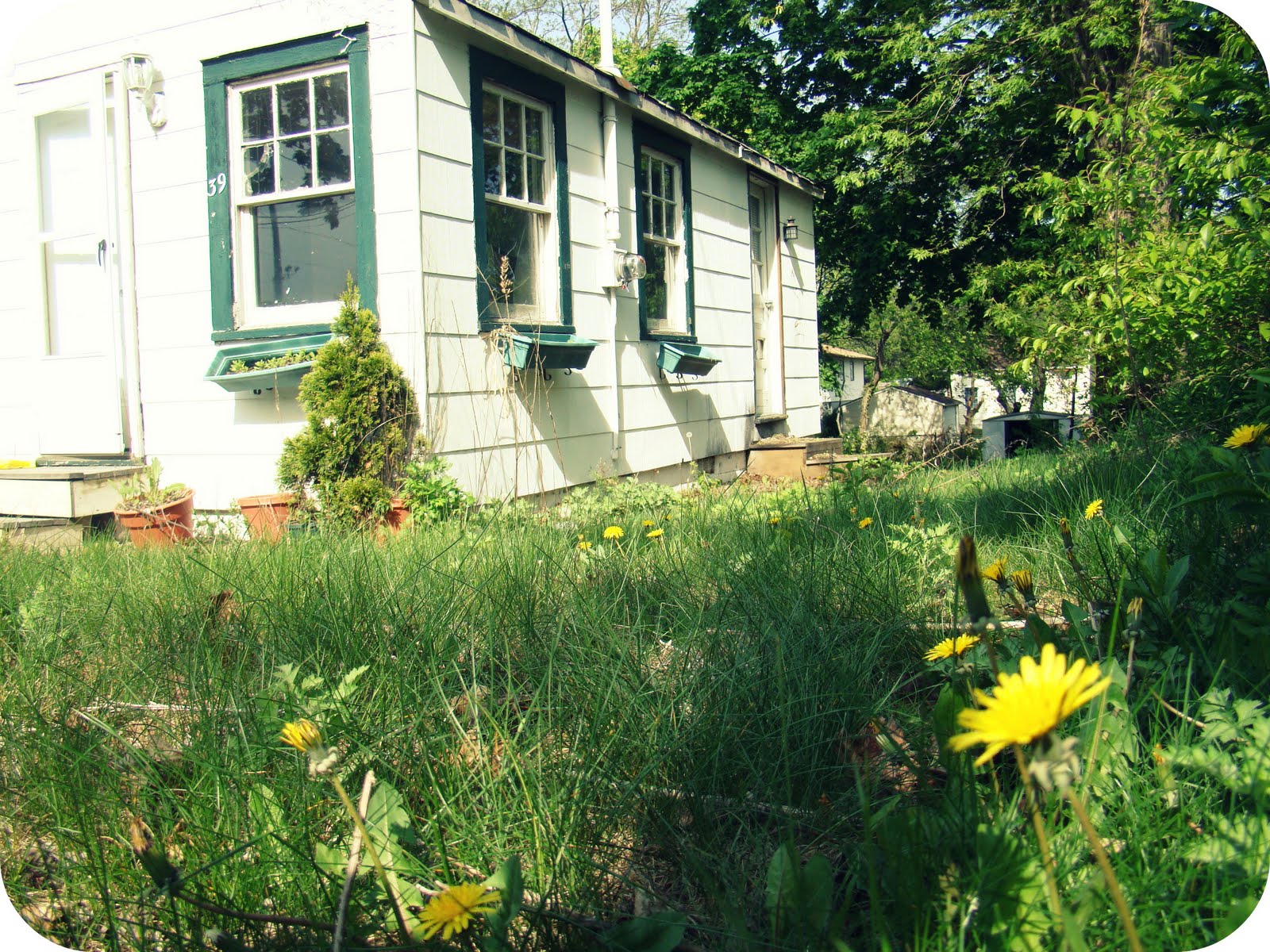 City Laundry: Old Rickety House