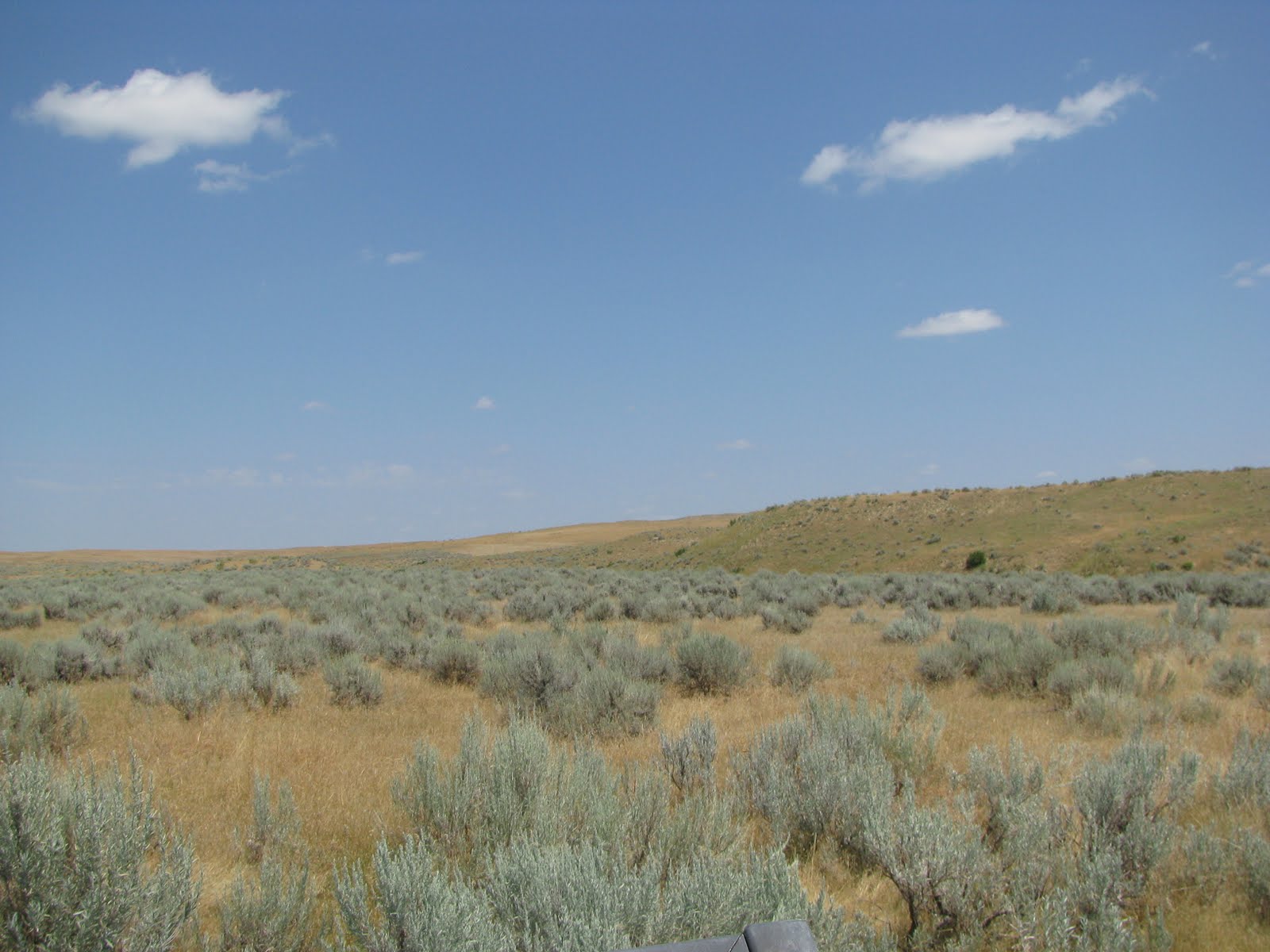 Paul & Joyce, Exploring our Country: Good Bye To Medora, Hello Little ...