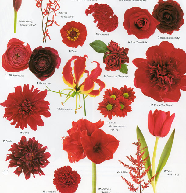 Matrimonial Meg: Flower Power