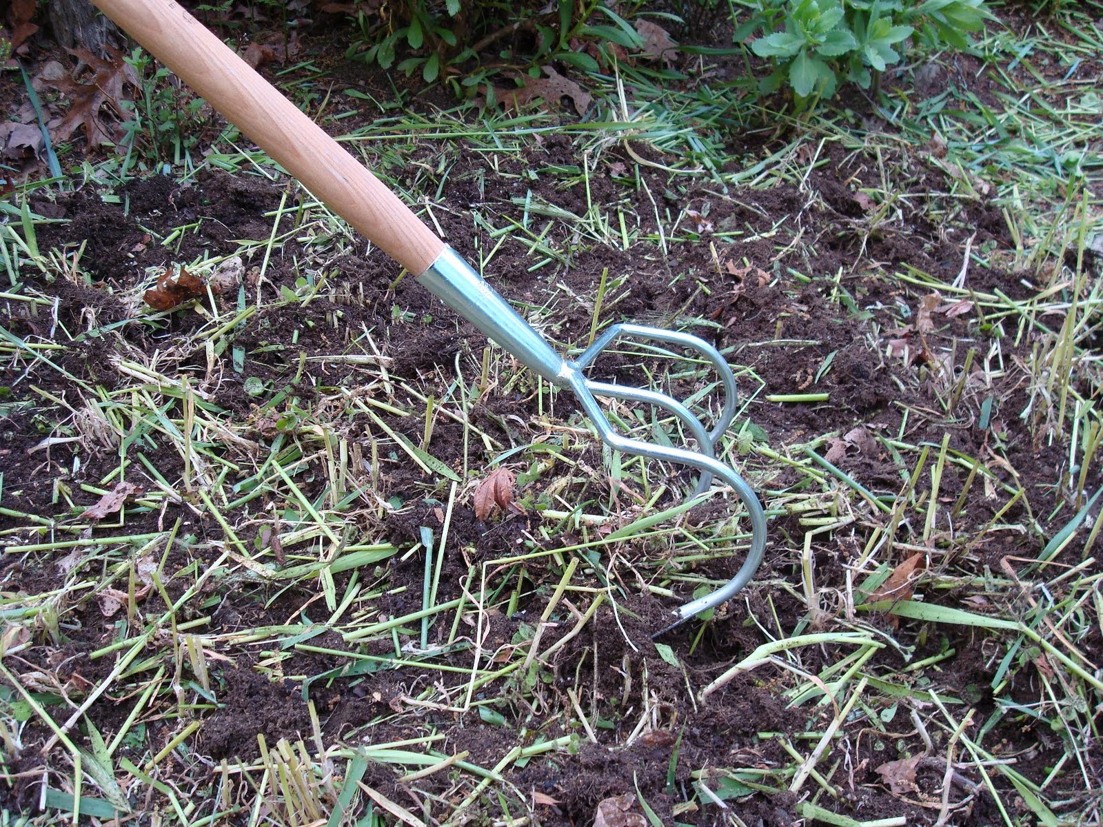 Plantation By The Sea: Harrowing and Planting the Squash Patch