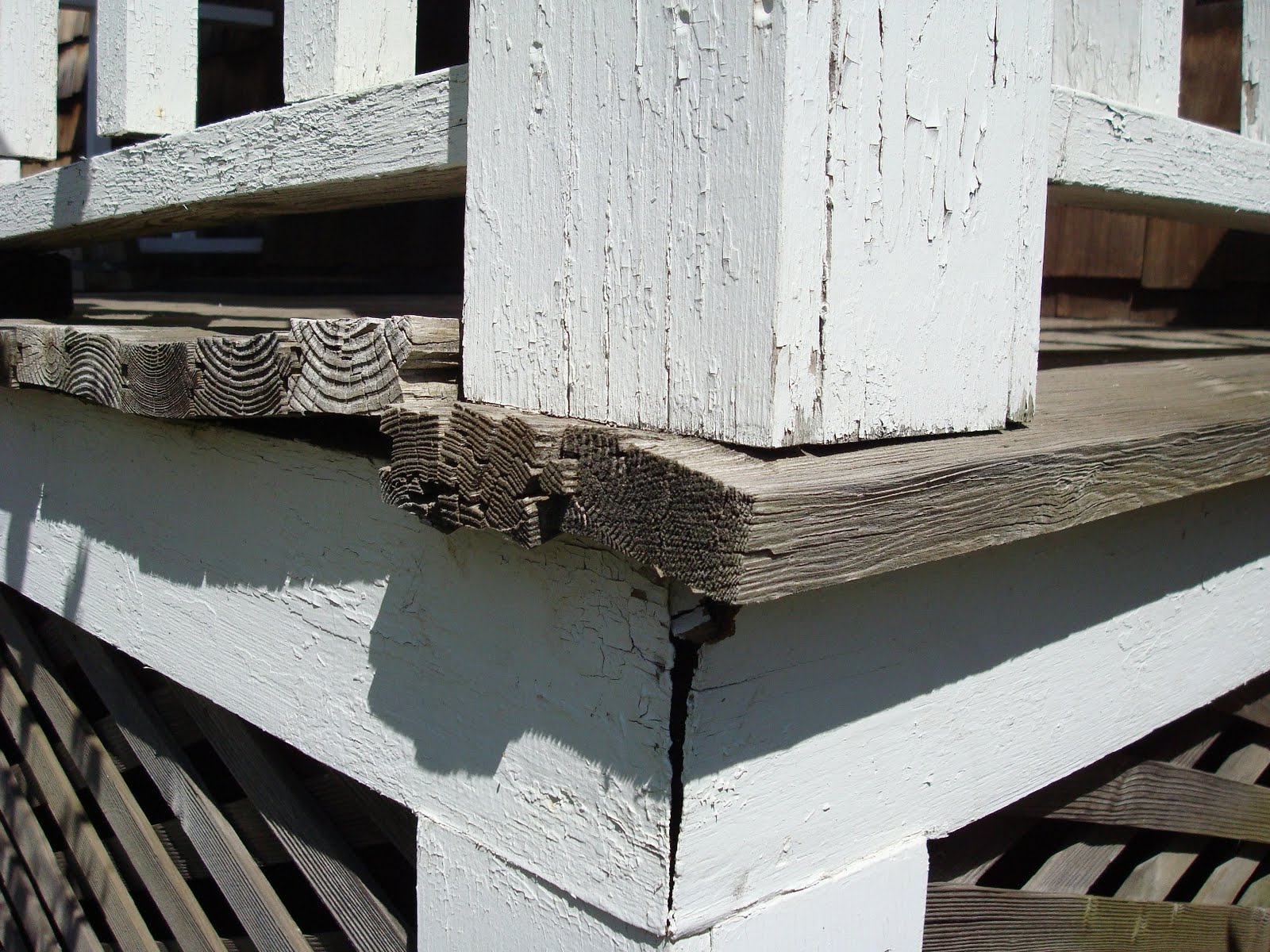 Hawkins House: Entry Porch Rescue, Part I: What Damage Hath Water Wrought