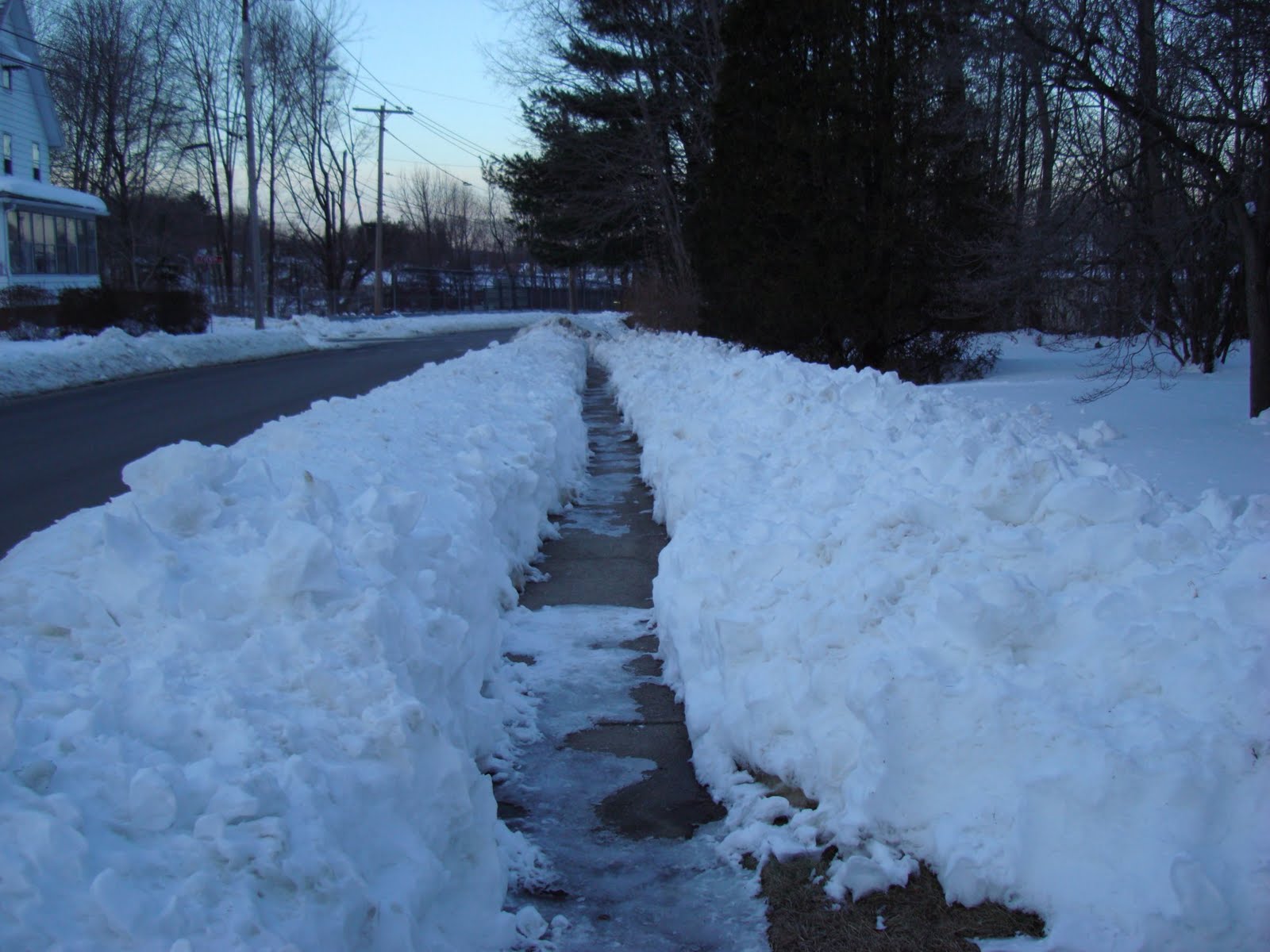 Hawkins House: Epic Snow Storm of January 11-12, 2011