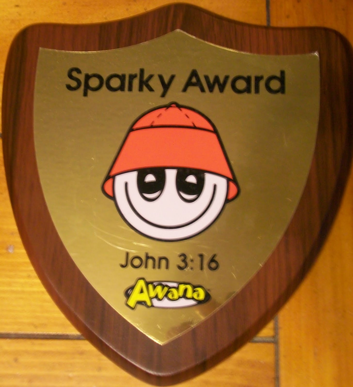 My Life With Logan: AWANA Awards
