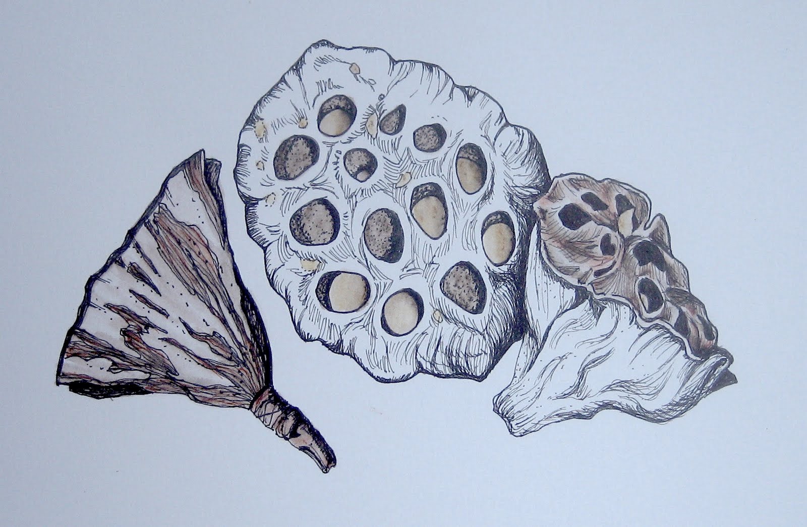 marina's art: August 2010