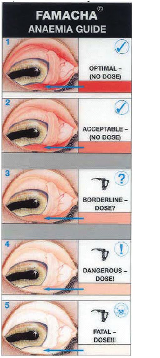 ATOPOS 2010 A: marzo 2010