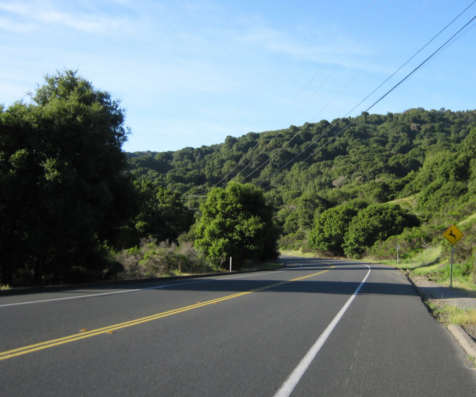 Oceanview bicycling journal: El Cerrito Plaza BART to San Ramon the ...