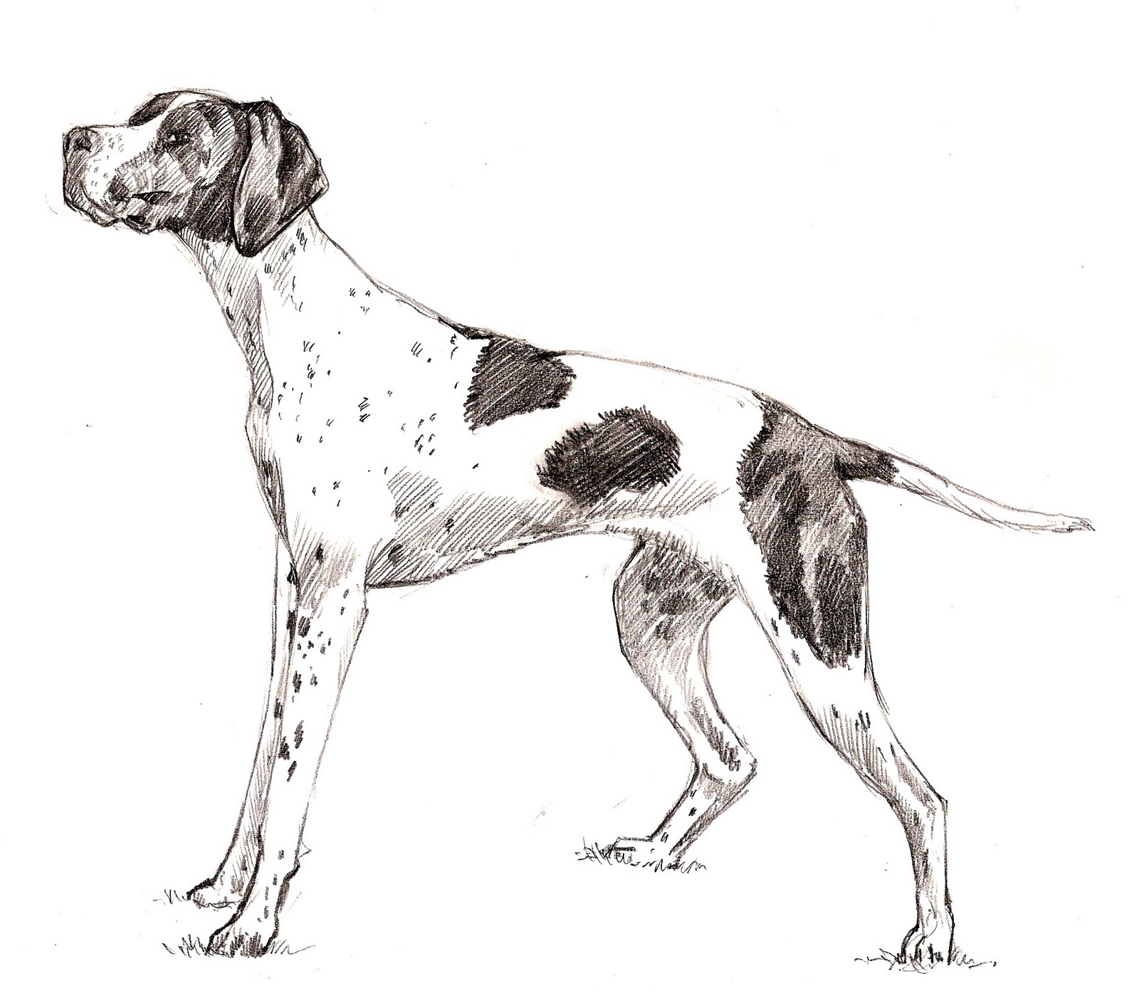 Drawing from experience...: December 2010