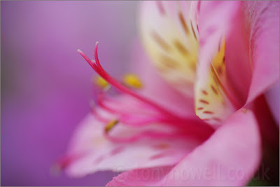 NCFE Photography: Tony Howell