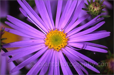 NCFE Photography: Tony Howell