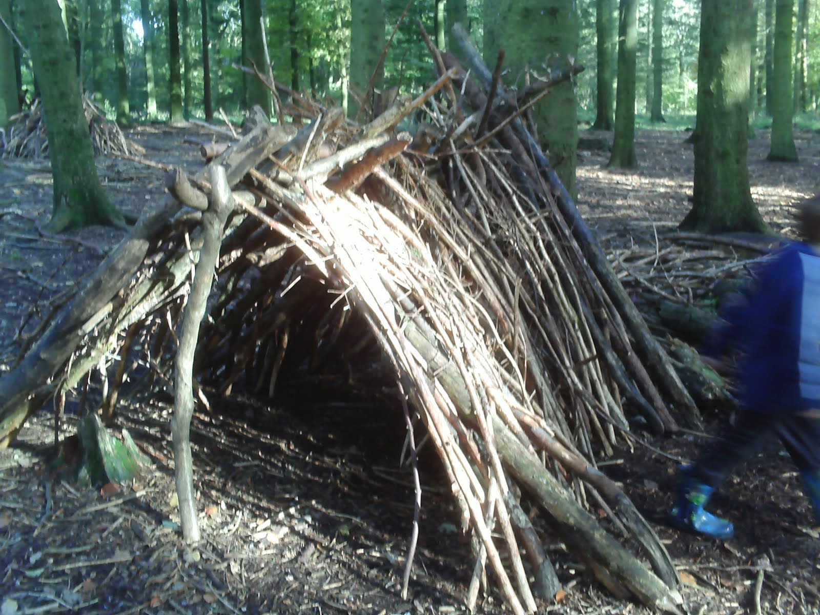 1000+ images about Den building on Pinterest | Building, Fairy wands ...