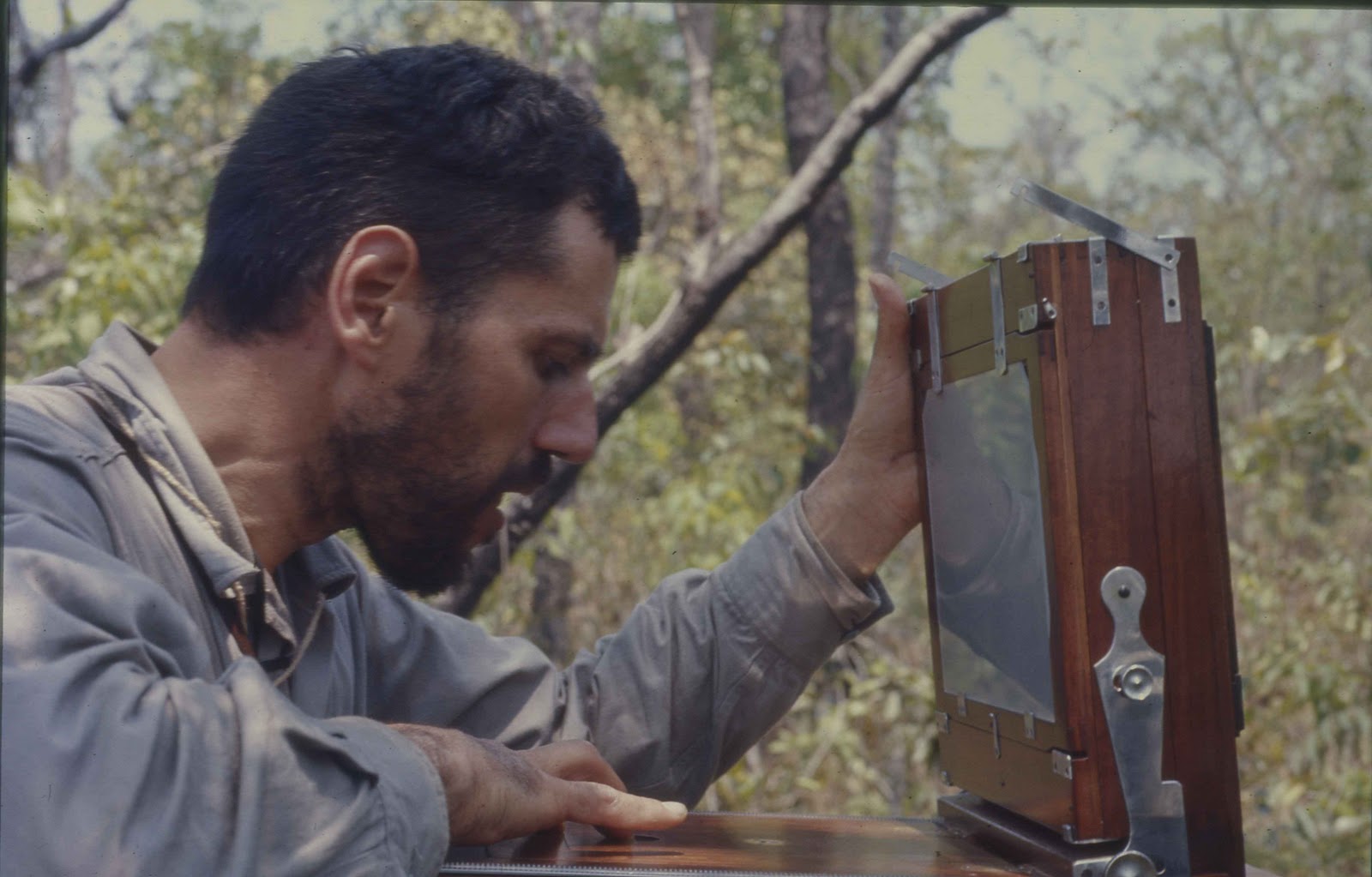 Herbário Universidade de Brasília - The Eiten Saga