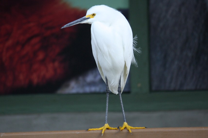 Life is Good!: ZOO MIAMI