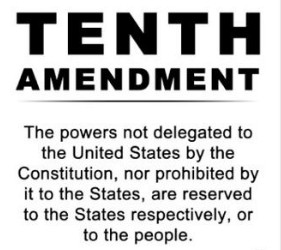 ARRA News Service: 11/7/10 - 11/14/10