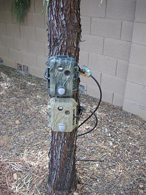 Jay Scott Outdoors: Building a Trail Camera