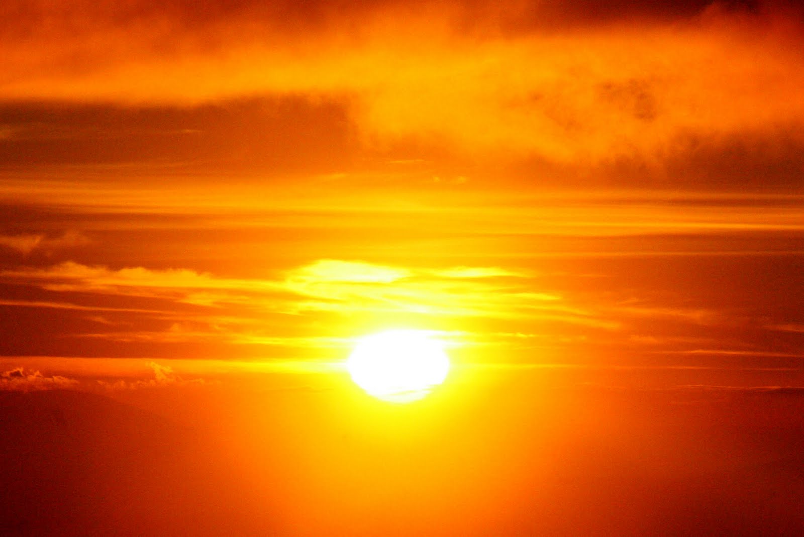 América a paso lento: 2010