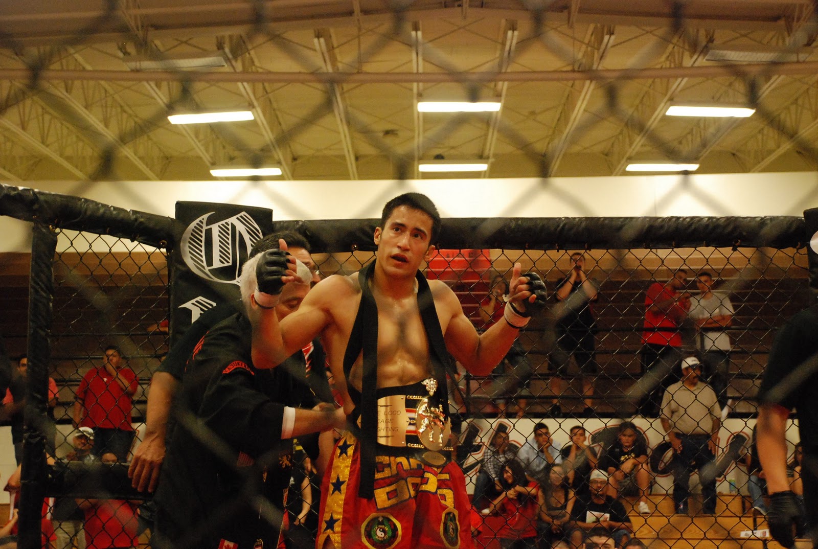 The Low Blow MMA/Boxing Podcast
