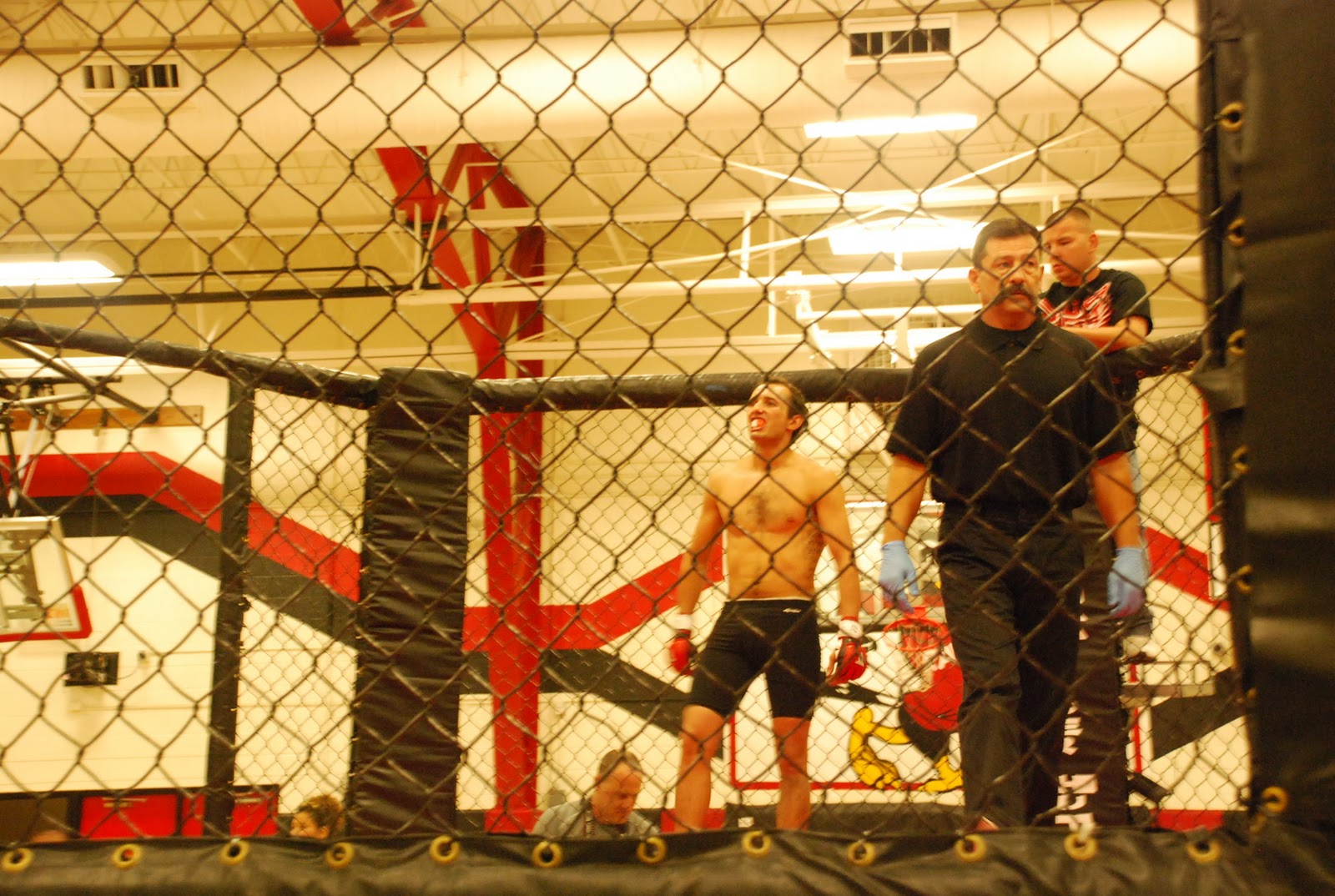 The Low Blow MMA/Boxing Podcast