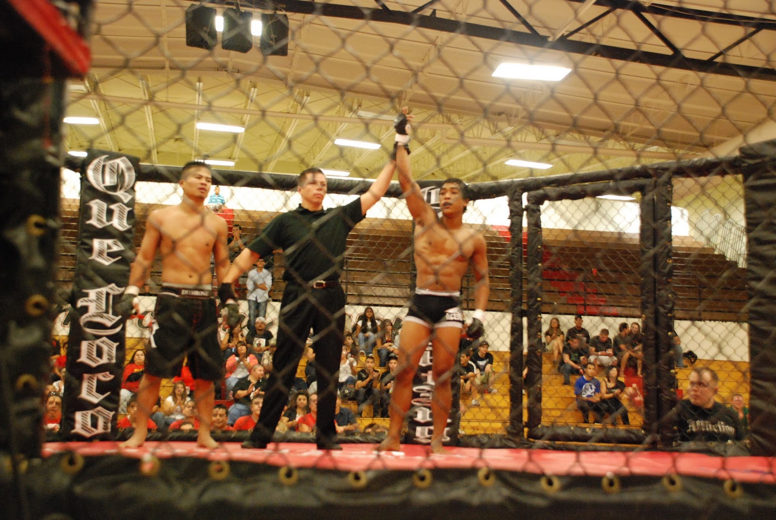 The Low Blow MMA/Boxing Podcast