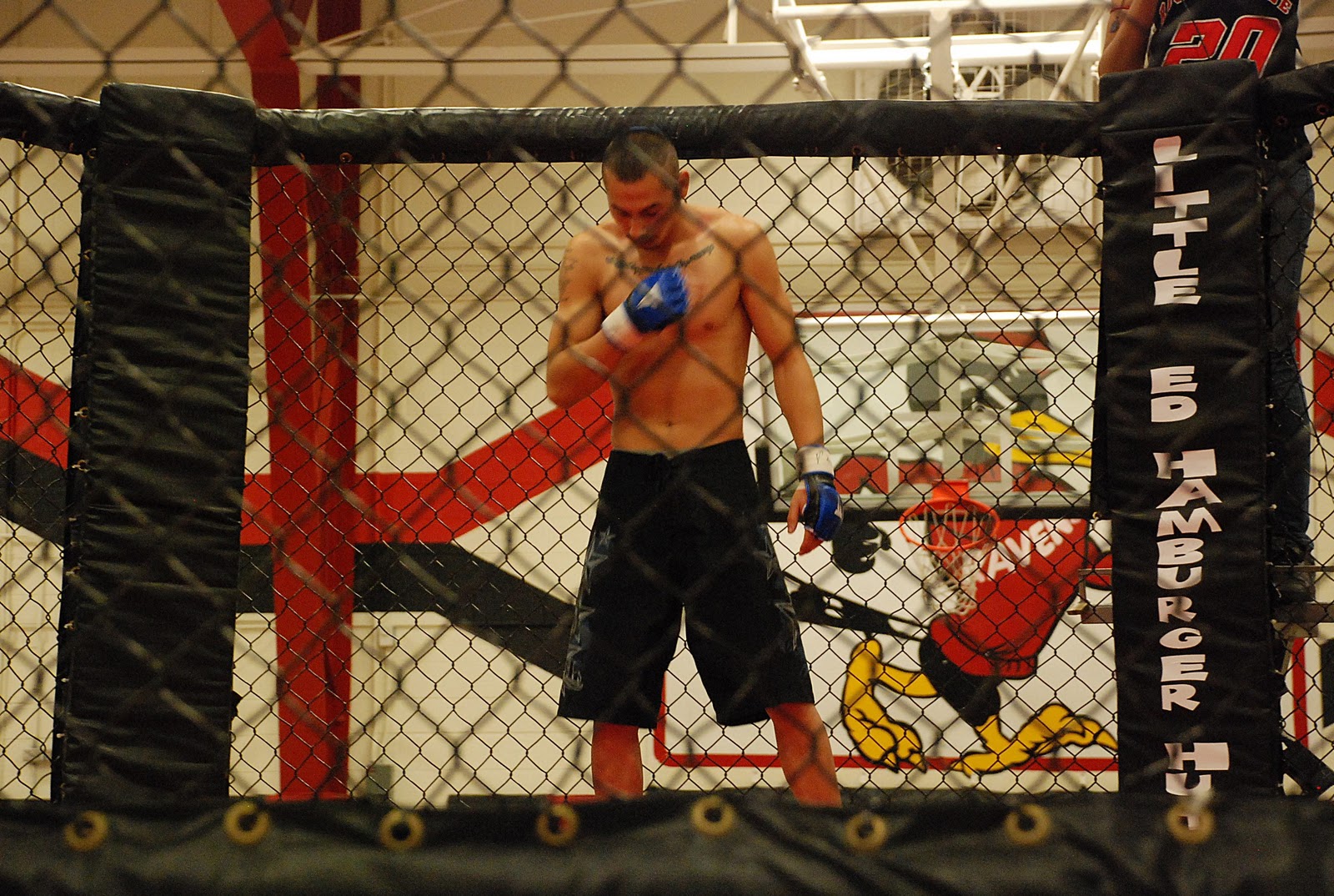 The Low Blow MMA/Boxing Podcast