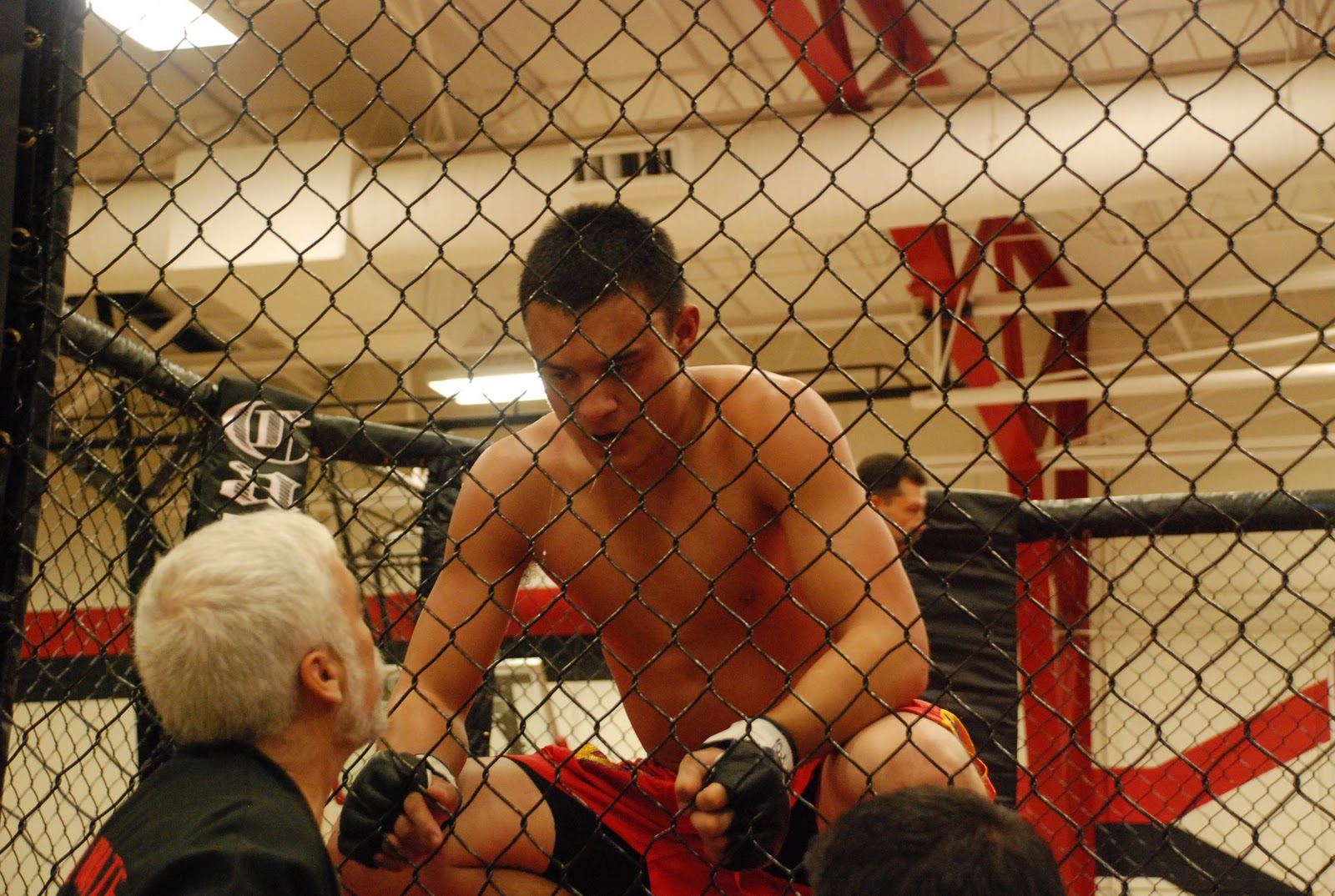 The Low Blow MMA/Boxing Podcast